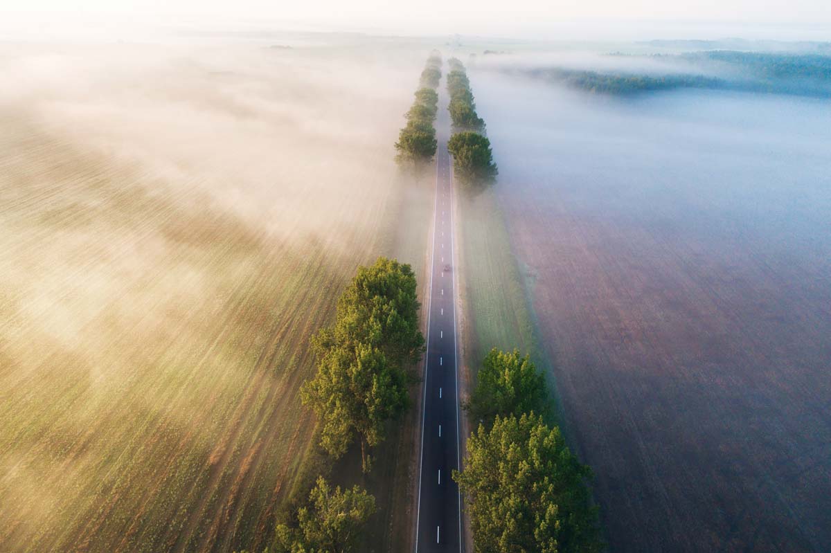 Bladverk Oy - Business Development and Digital Services Advisory